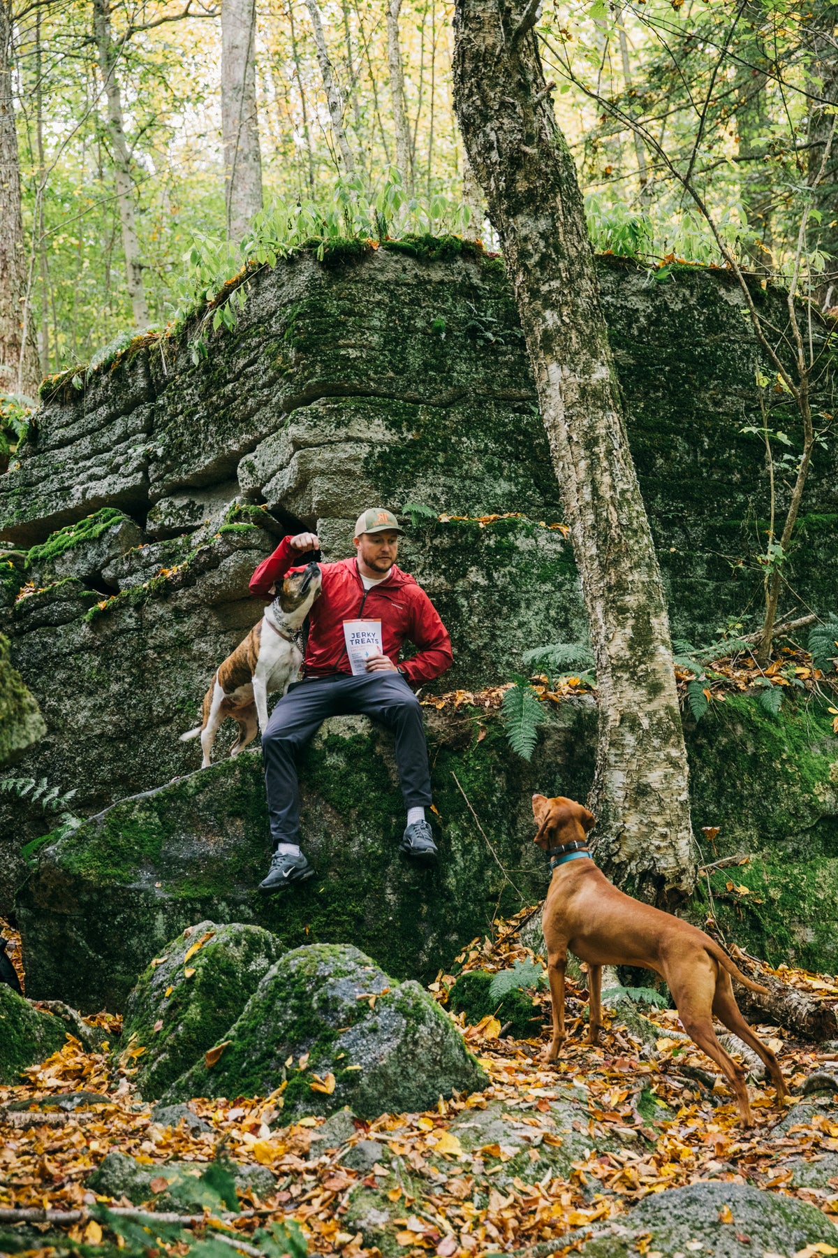 Our Story - Wild Ranger Pet