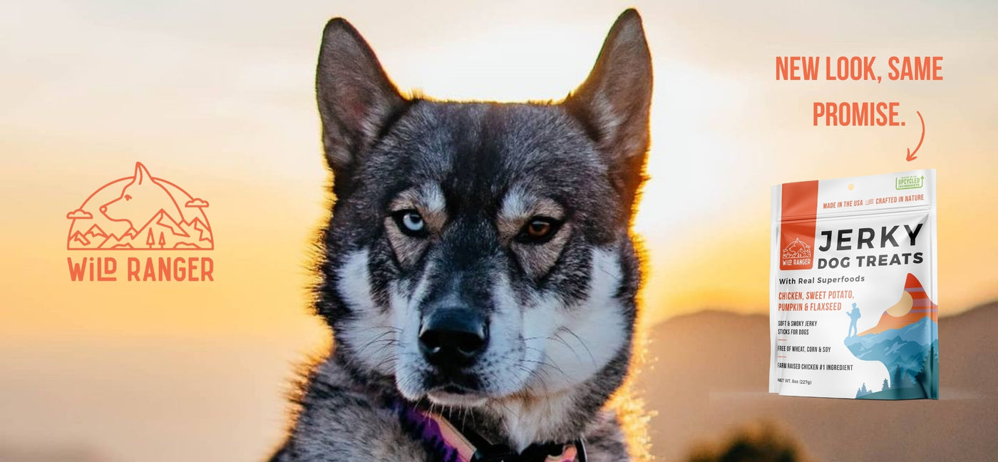 Wild Ranger Jerky Dog Treats